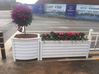 铝合金花箱定做就找浙江嘉美佳/pvc花箱厂家