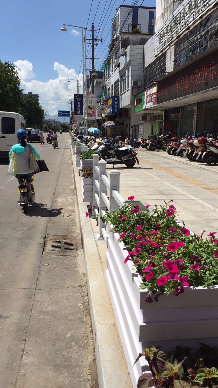 安徽黄山屯溪区花箱工程安装 - 浙江嘉美佳市政园林工程服务有限公司